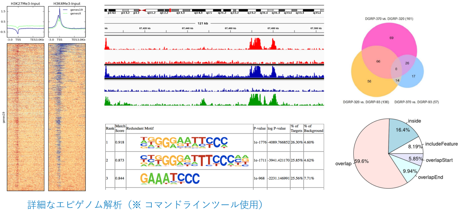 ChIP-Seq (ATAC-Seq)解析 | 愛媛大学学術支援センター(ADRES) 医科学研究支援部門 バイオインフォマティクス支援分野 ChIP-Seq (ATAC-Seq)解析 | 愛媛大学学術支援センター(ADRES) 医科学研究支援部門 バイオインフォマティクス支援分野